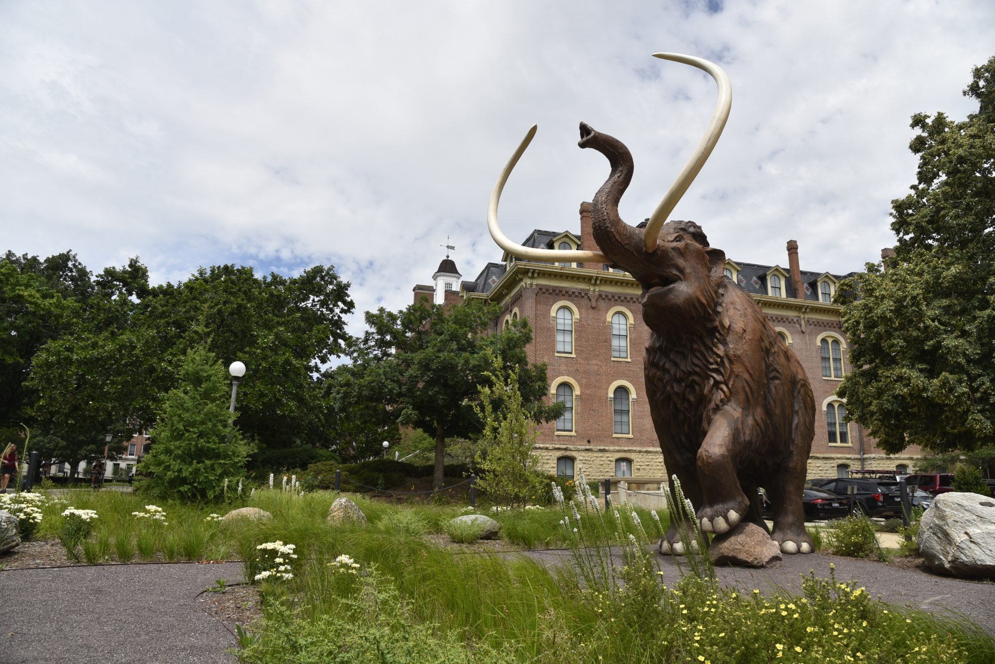 The mammoth sculpture finds itself amongst some new additions. The new ...