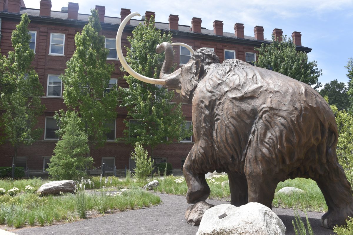 INSIDER Feature Stories: