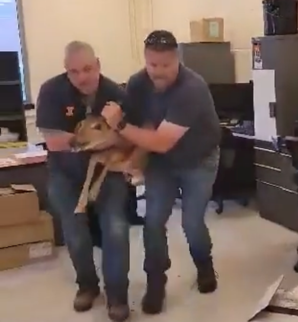 Home [fs.illinois.edu]